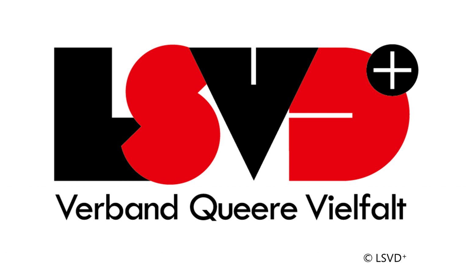 Tätigkeitsbericht zum LSVD⁺-Verbandstag 2025: Meilensteine und Herausforderungen – Echte Vielfalt